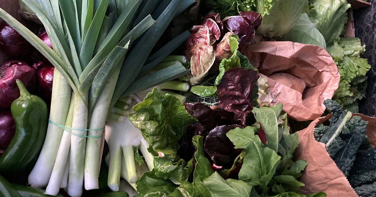 Società agricola Cencio Molle | Consorzio Agrituristico Mantovano ...